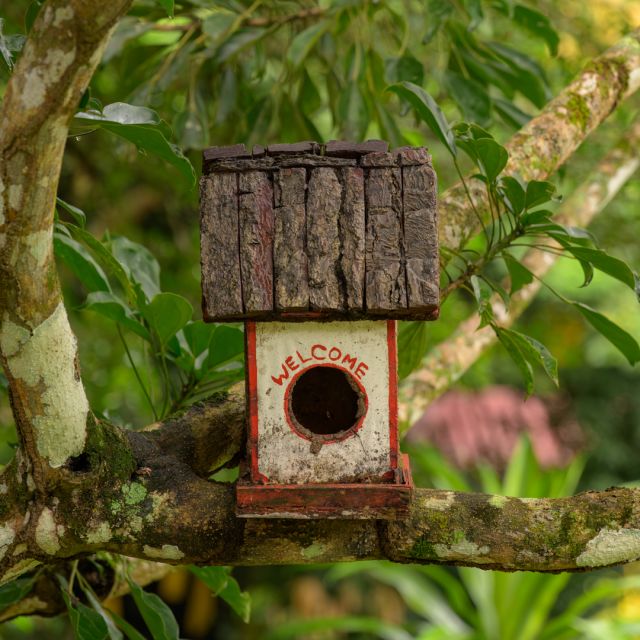 Rustic Hotel in El Valle De Anton, Panama | Golden Frog Inn