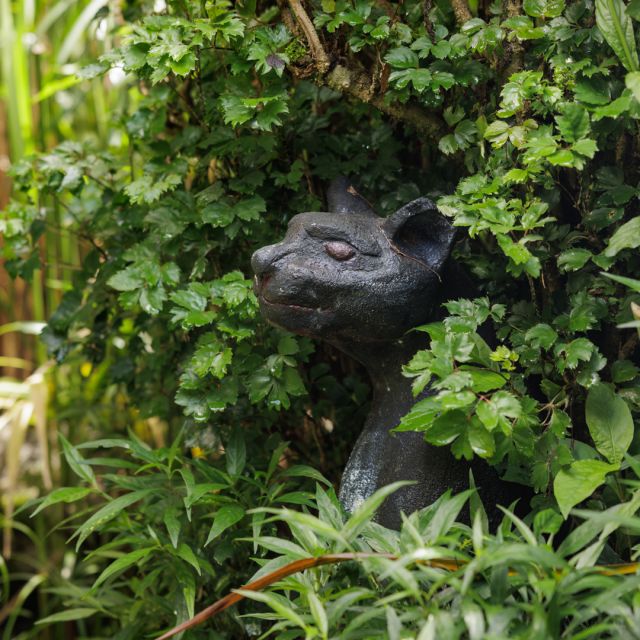 Rustic Hotel in El Valle De Anton, Panama | Golden Frog Inn