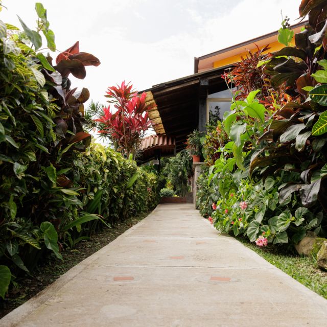 Rustic Hotel in El Valle De Anton, Panama | Golden Frog Inn